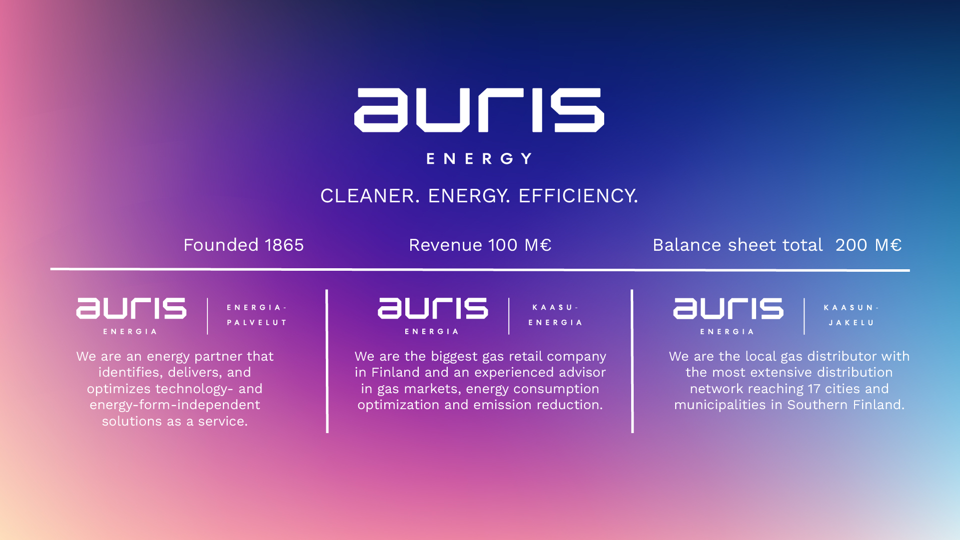 About Us - Auris Energia